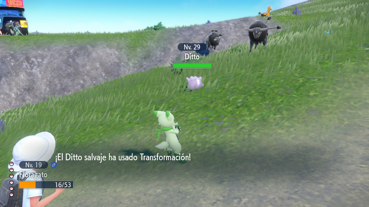 Pokémon Escarlata & Pokémon Púrpura: así puedes encontrar a Ditto ...