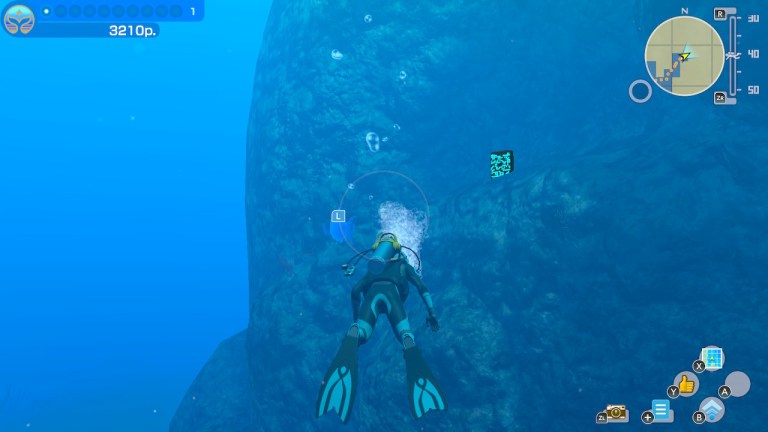 Endless Ocean Luminous – Análisis: la belleza del océano en Nintendo ...